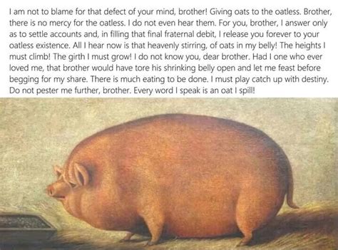 Defect Meme 50 “important Animal Images” To Put A Smile On Your