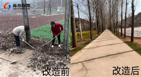 【三学三比三赛】德亭镇：党建领航促转变 加压奋进展新颜工作杨村嵩县