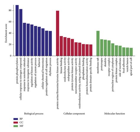 Go Enrichment Analysis Diagram Download Scientific Diagram