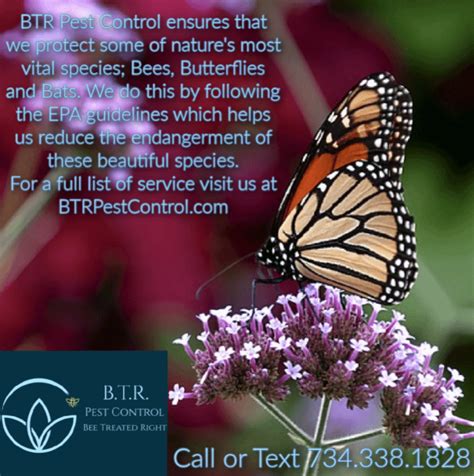 Btr Pest Control Is Located In Livonia Michigan Rbtrpestcontrol