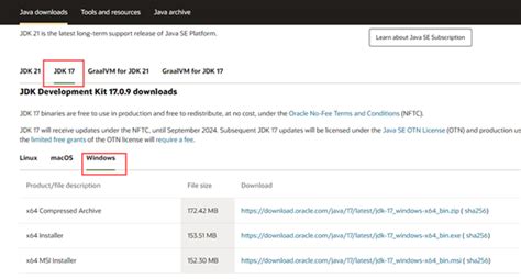 JDK1 8 如何升级到JDK17 详细图文讲解亲测有效 上海 悠悠 博客园