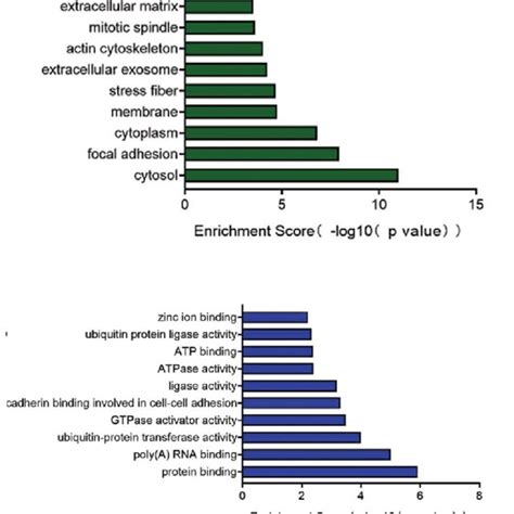 Predicting The Functions Of Differentially Expressed Circrna Host
