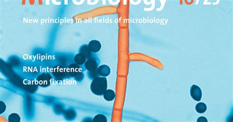 Metagenomic Characterization Reveals Virus Coinfections Associated With Newcastle Disease Virus