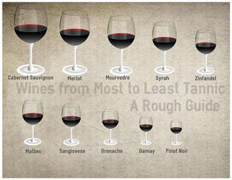 What Is A Tannin Zinfandel Wine Wine Aging Red Wine Benefits
