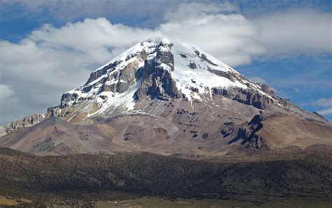 Polylepis Spp Microcosms