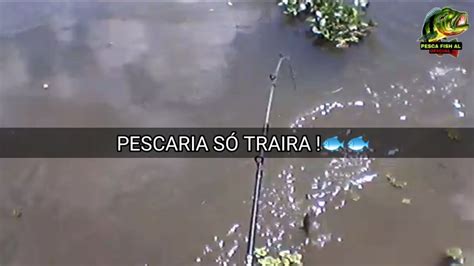 só traíras pescaria YouTube