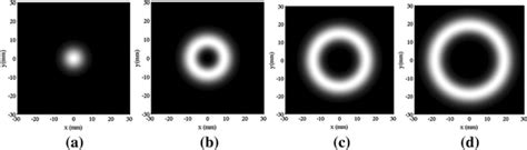 Intensity Distribution Of Hygg Ii Beams At Z 0 Plane And ω0 10 Mm