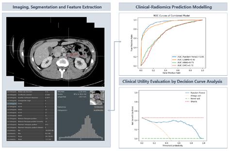 Figure 2 From Radiomics And Clinicopathological Characteristics For
