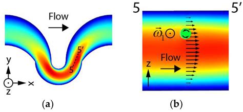 two way coupling fluid structure interaction fsi approach to inertial