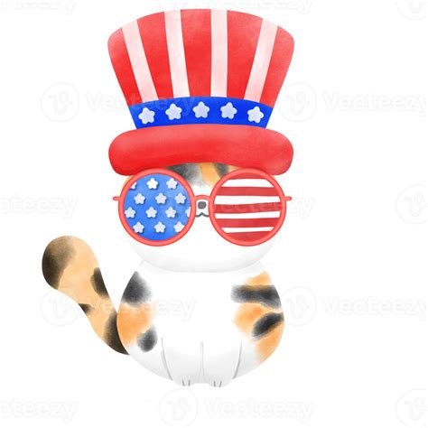 Happy 4th Of July Cute Cat Watercolor Illustration 25257487 Png
