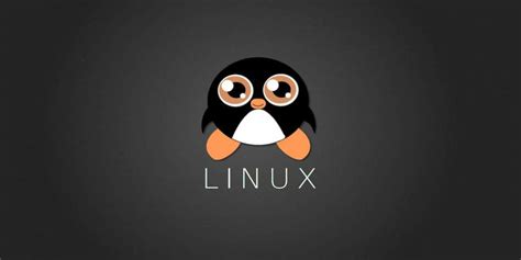 12 个对新手最重要的 Linux 命令 Linuxstory