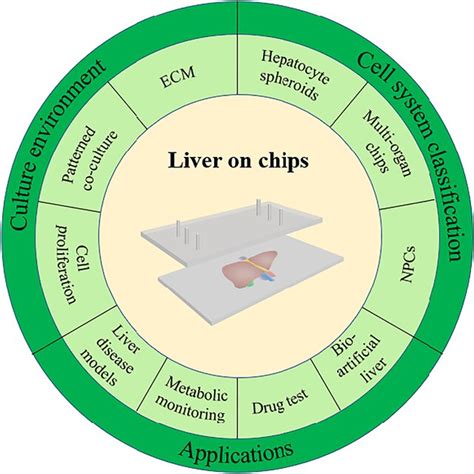 A I Physical Illustration Of The Microfluidic System‐based 3d