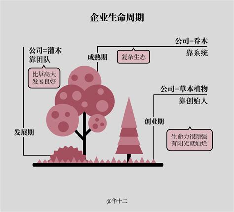 精华版：45张图看懂底层逻辑 爱运营