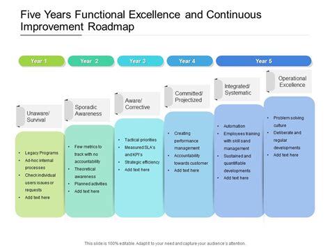 Five Years Functional Excellence And Continuous Improvement Roadmap Diagram