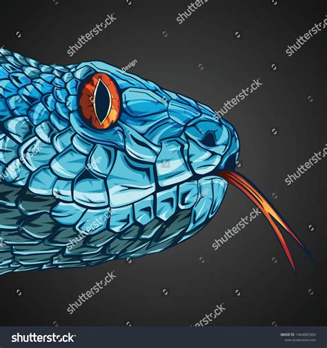 Snake Head Illustration Art Vector Stock Vector Royalty Free