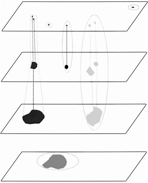 example of connectivity in wavelet space contiguous significant