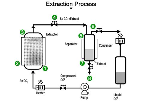 Supercritical Co2 Extraction Toptionlab