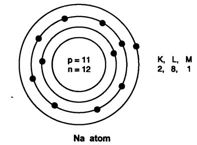 NCERT SOLUTIONS FOR CLASS SCIENCE STRUTURE OF ATOM CHAPTER