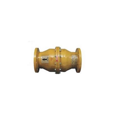 Float Type Check Valve Horizontal At Best Price In Vadodara By Unp