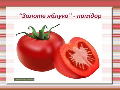 Презентація "Сільскогосподарські рослини"