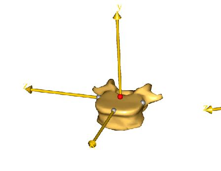 The Anatomical Reference Frame Compression Force Is Measured In The