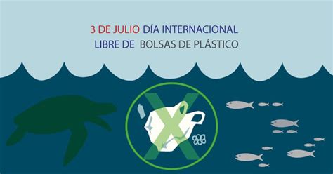 Biblioteca Allúe 3 De Julio DÍa Internacional Sin Bolsas De PlÁstico
