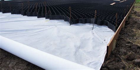 Tree Root Protection Geoworks