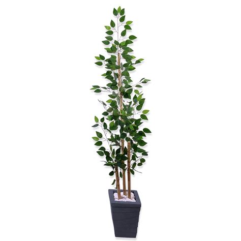 Bambu Da Sorte Planta Artificial Vaso Quadrado Decorativo Shopee Brasil