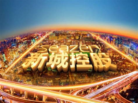 新城控股集团董事长王晓松坚定信心黎明就在前方 新城控股 王晓松 黎明 新浪新闻