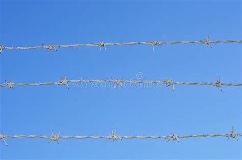 185 String Barbed Wire Stock Photos Free Royalty Free Stock Photos