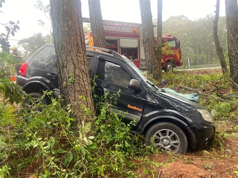 Duas pessoas ficam presas às ferragens após carro colidir contra árvore
