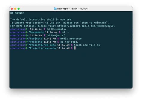 How To Customize Your Terminal Prompt With Vscode By Connie Tran Medium
