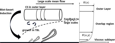 Sketch Of A Typical Boundary Layer Illustrating Different Turbulent Download Scientific Diagram