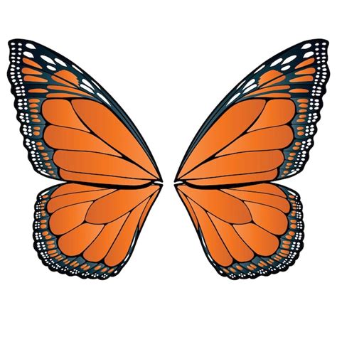 Premium Vector Butterfly Wings