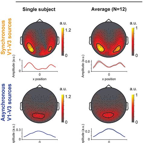 The Effect Of Cortical Geometry And Neural Synchrony On Meg Sensor Download Scientific Diagram