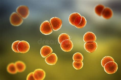Streptococcus Pneumoniae Bacteria 3d Scientific Illustration Stock