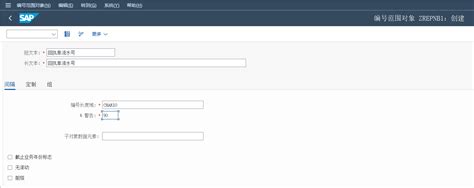Abap 标准流水码 Csdn博客