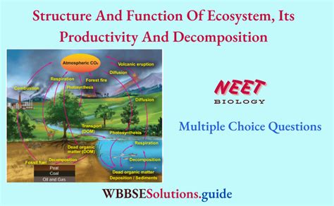 Neet Biology Structure And Function Of Ecosystem Its Productivity And