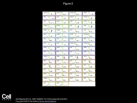 The Sh2 Domain Interaction Landscape Ppt Download
