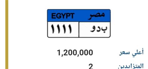 قطة بـ 110 آلاف جنيه، أسعار اللوحات المعدنية المميزة صور