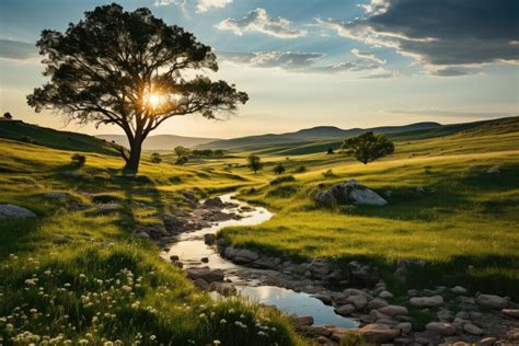 Premium Ai Image Natural Scenario Exuberant Grass In A National Park