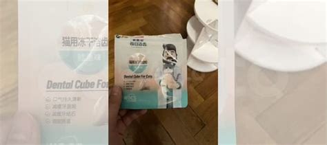 Дом для кошки купить в Санкт Петербурге Животные и зоотовары Авито