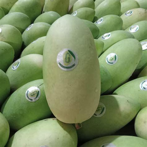 Guimaras Mango Growers And Producers Development Cooperative