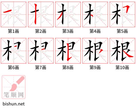根的笔顺（笔画顺序）汉字根的笔顺动画
