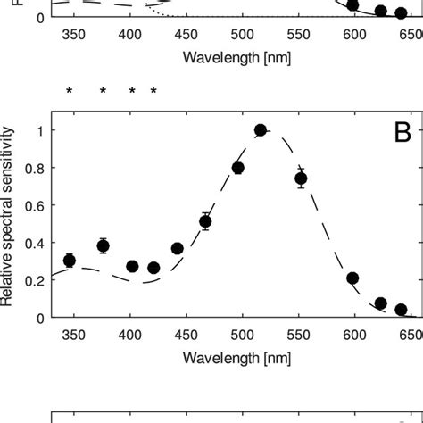 Mean Relative Spectral Sensitivity Of Chromatic Adapted Eye