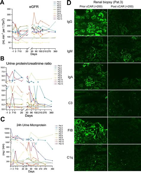 Bcma Cd19 Compound Car T Cells For Systemic Lupus Erythematosus A Phase 1 Open Label Clinical