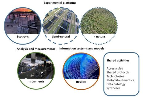 Présentation Danaee France Anaee France