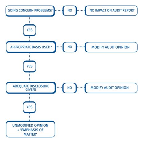 In Relation To Going Concern It Is Important To Understand The Following