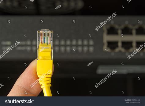 Network Switch Ethernet Cable Rack Cabinet Stock Photo Shutterstock