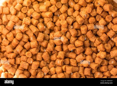 Floating Fish Feed Pellet Stock Photo Alamy